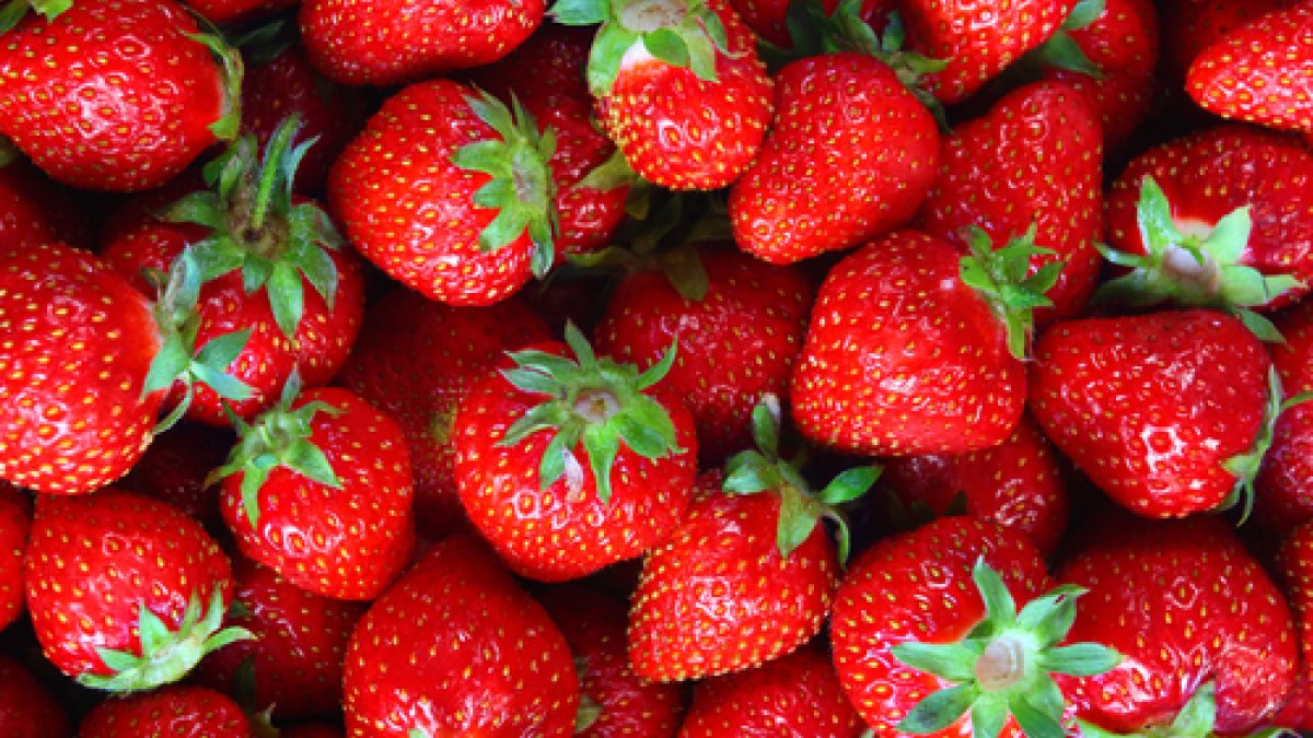 Kosher Strawberries: How to Clean Them Properly and Avoid Insects ...