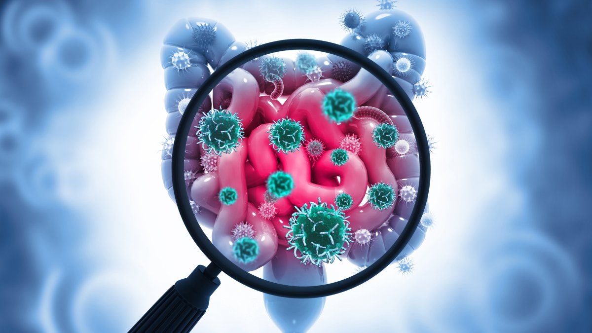 Boosting Your Immune System: Tips and Tricks - Hidabroot